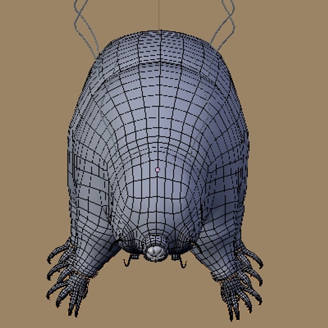 Tardigrade Bear 3d Model
