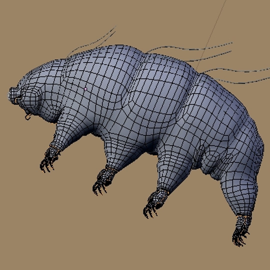 Tardigrade Bear 3d Model