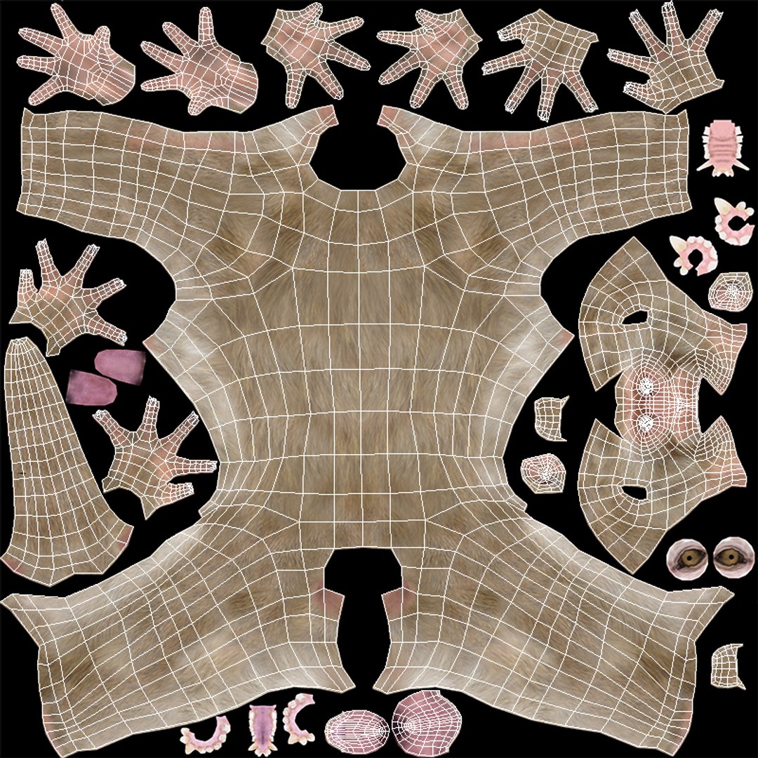 Macaque Model - TurboSquid 2101689