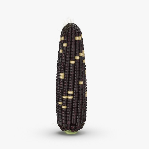 Corn On The Cob 3D Models for Download | TurboSquid