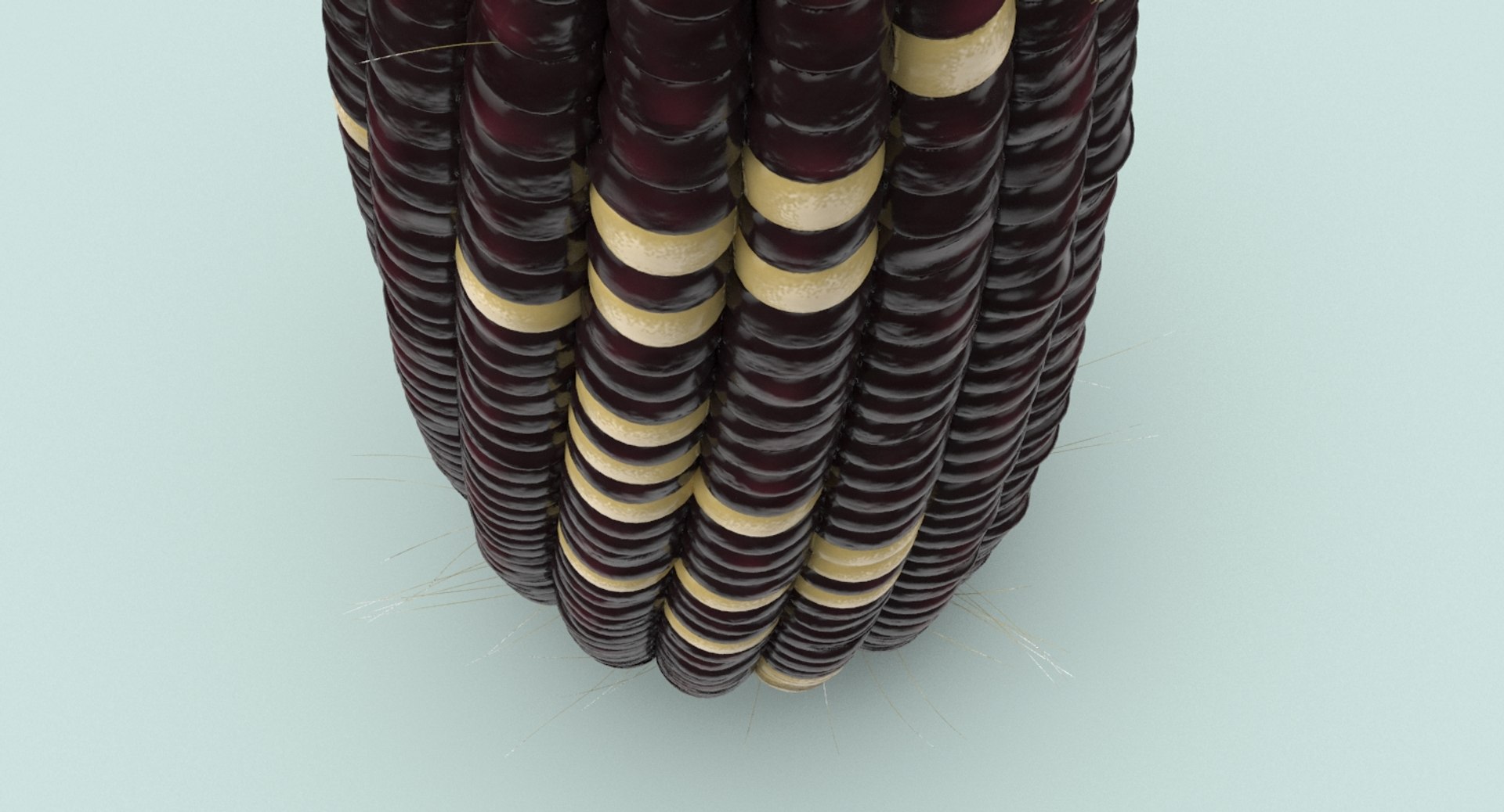 Ears-of-corn---02-cv2 3D - TurboSquid 1340267