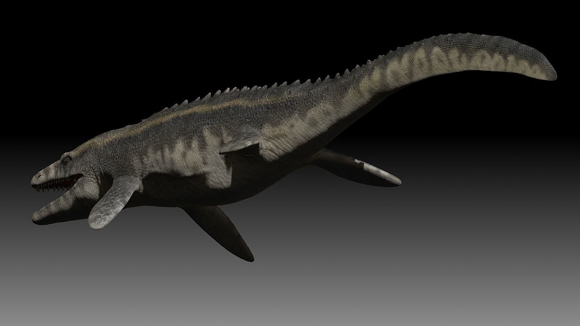 Mosasaurus 3D - TurboSquid 1956623