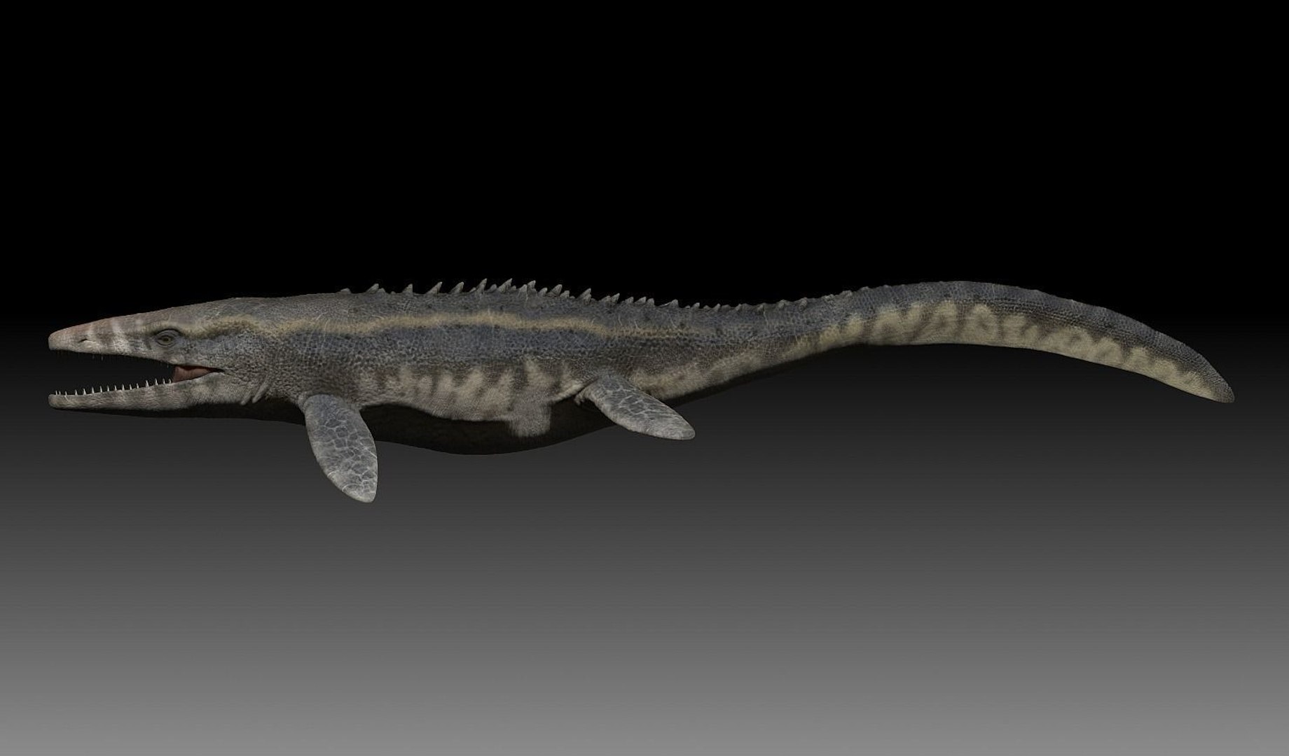 Mosasaurus 3D - TurboSquid 1956623