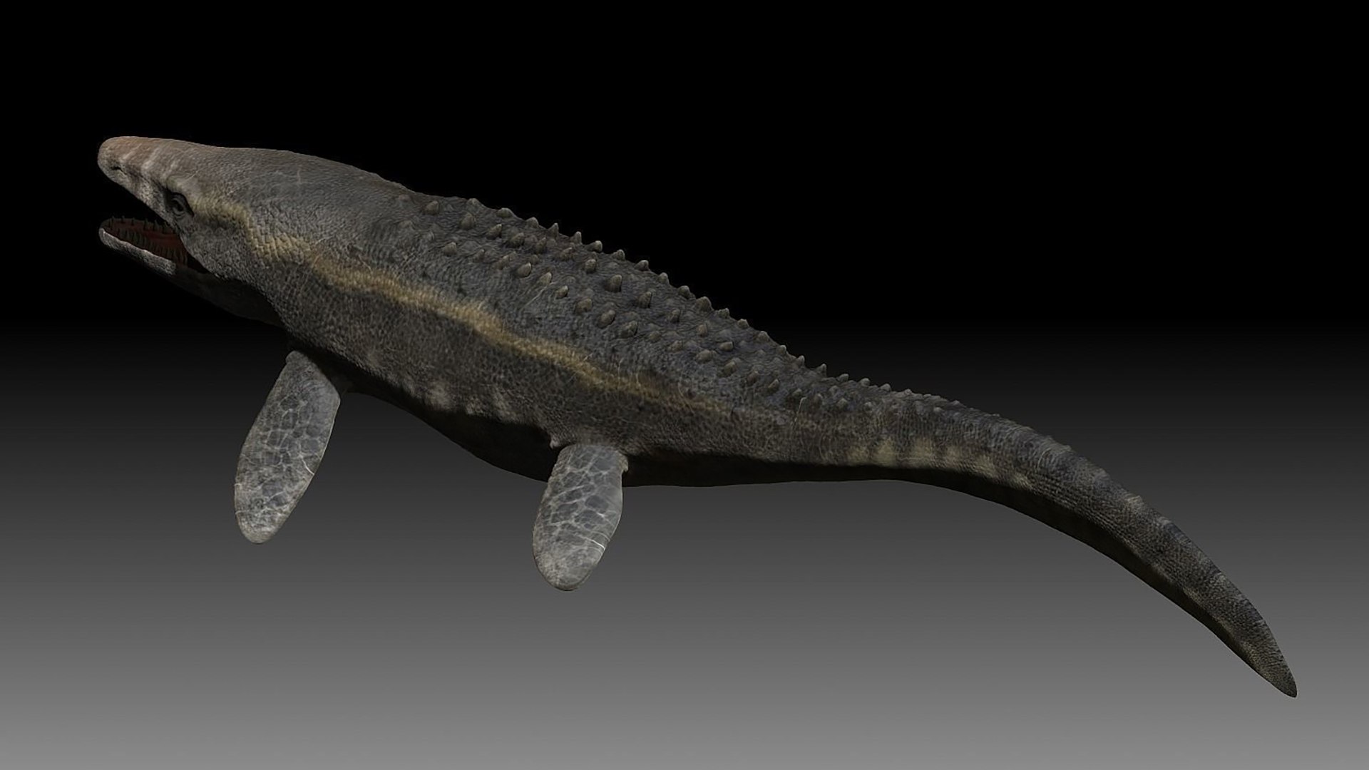 Mosasaurus 3D - TurboSquid 1956623