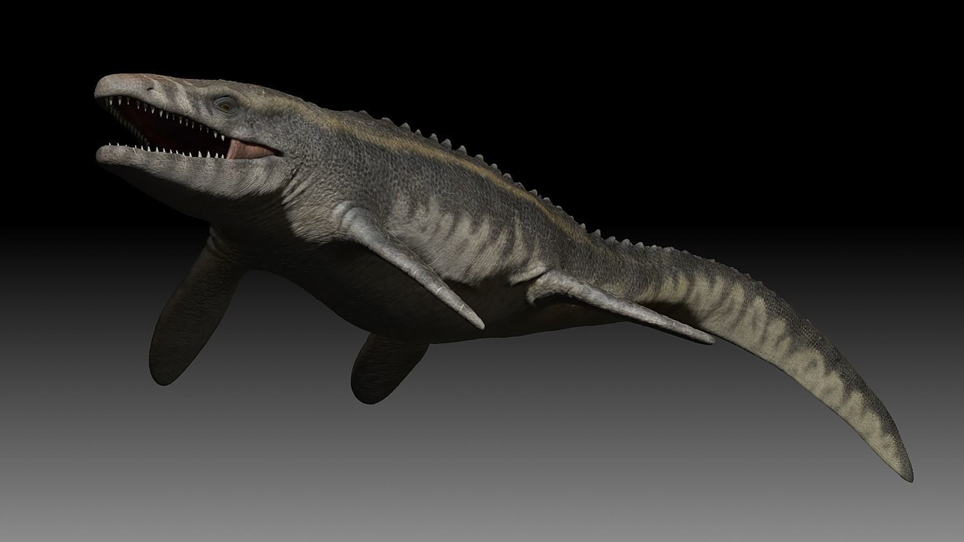 Mosasaurus 3D - TurboSquid 1956623