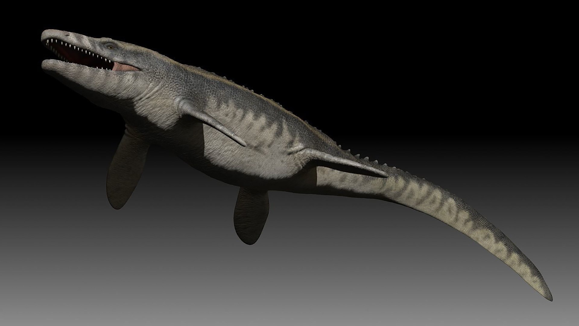 Mosasaurus 3D - TurboSquid 1956623