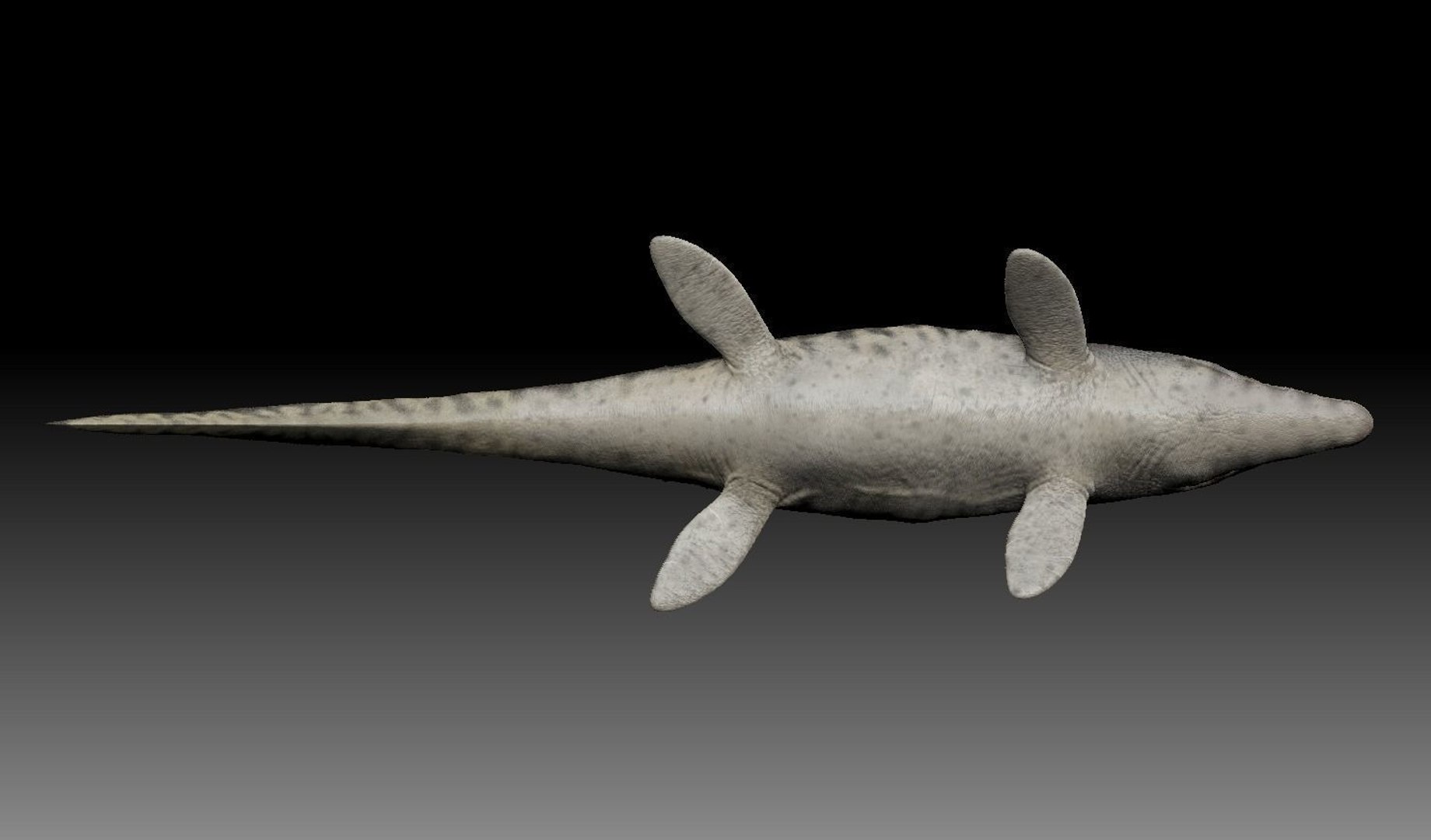 Mosasaurus 3D - TurboSquid 1956623