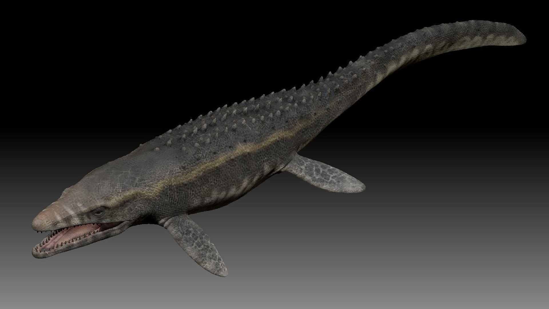 Mosasaurus 3D - TurboSquid 1956623