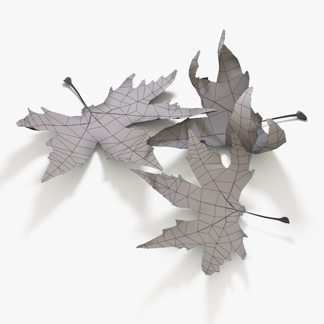 Dry Leaves 3d Model