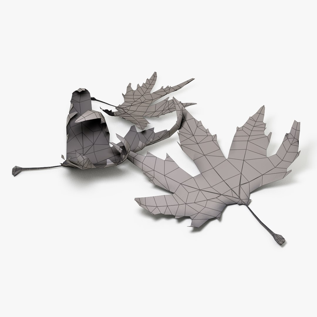 Dry Leaves 3d Model