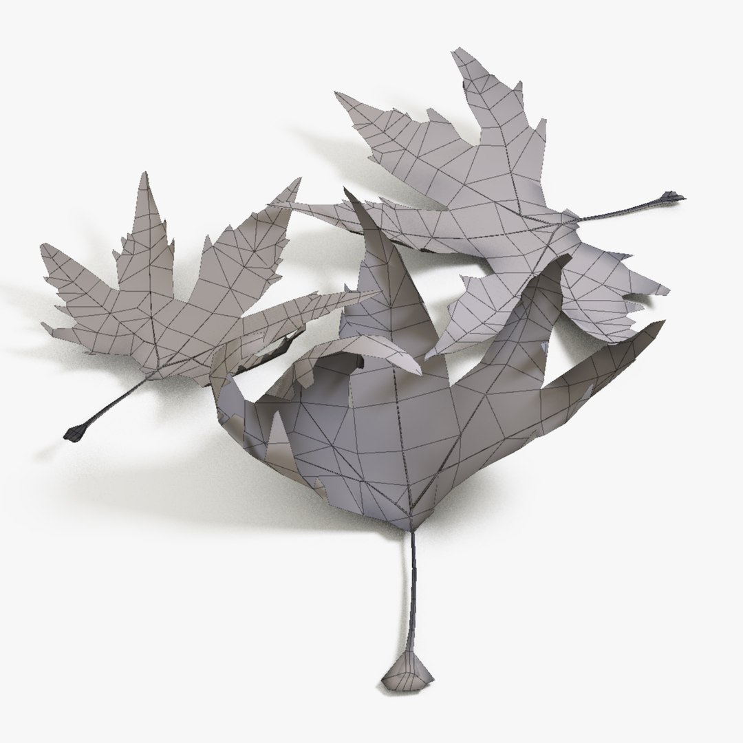 Dry Leaves 3d Model