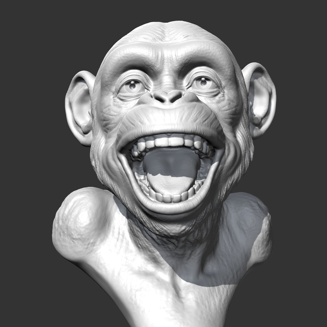 3D model Chimp Head AM24 3D print model - TurboSquid 2106801