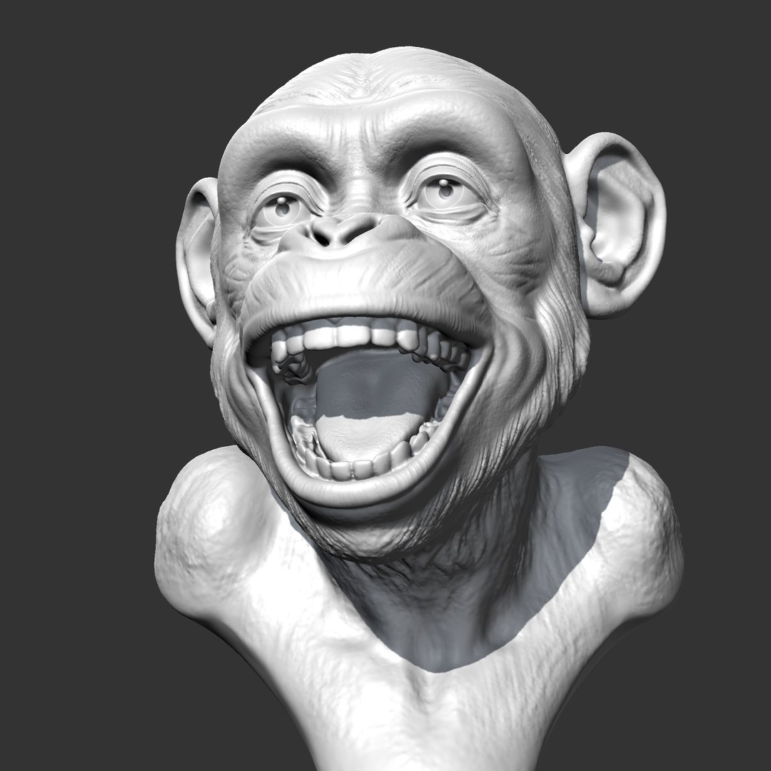 3D model Chimp Head AM24 3D print model - TurboSquid 2106801