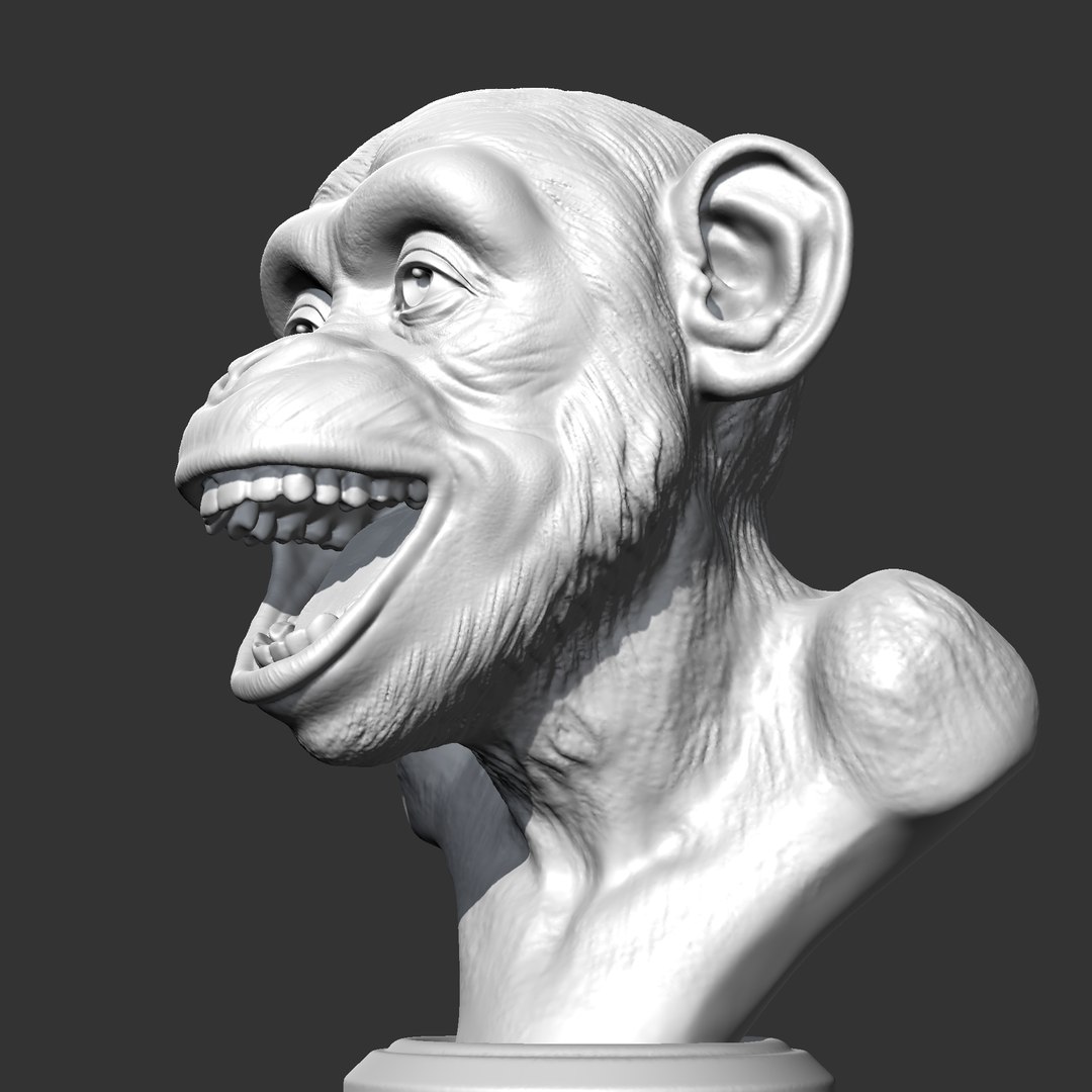3D model Chimp Head AM24 3D print model - TurboSquid 2106801