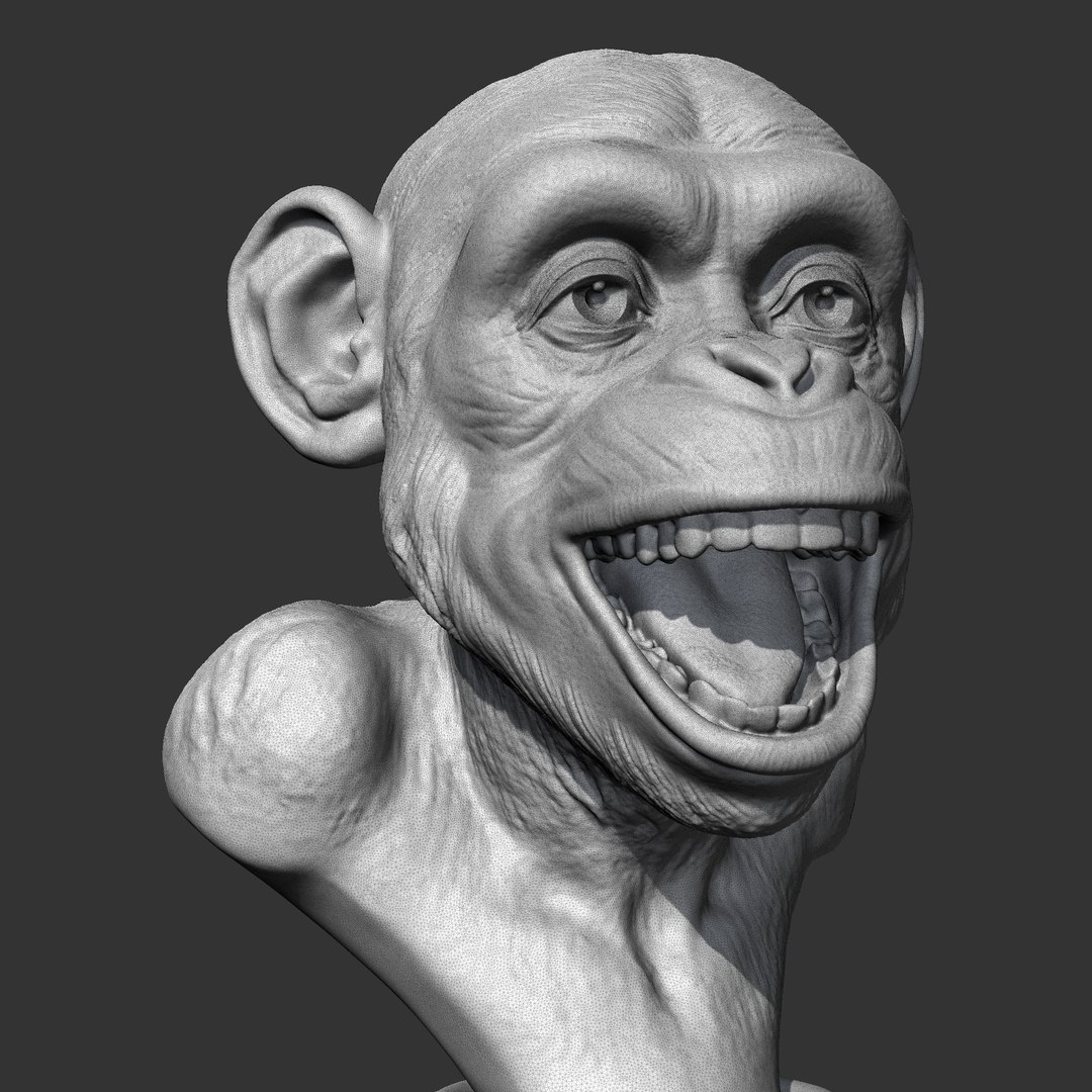 3D model Chimp Head AM24 3D print model - TurboSquid 2106801