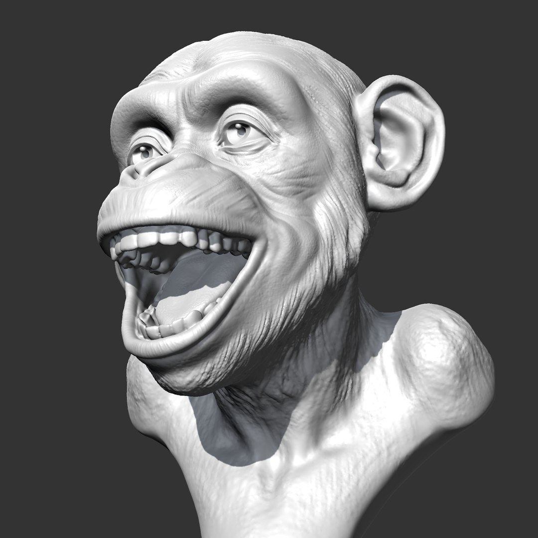 3D model Chimp Head AM24 3D print model - TurboSquid 2106801