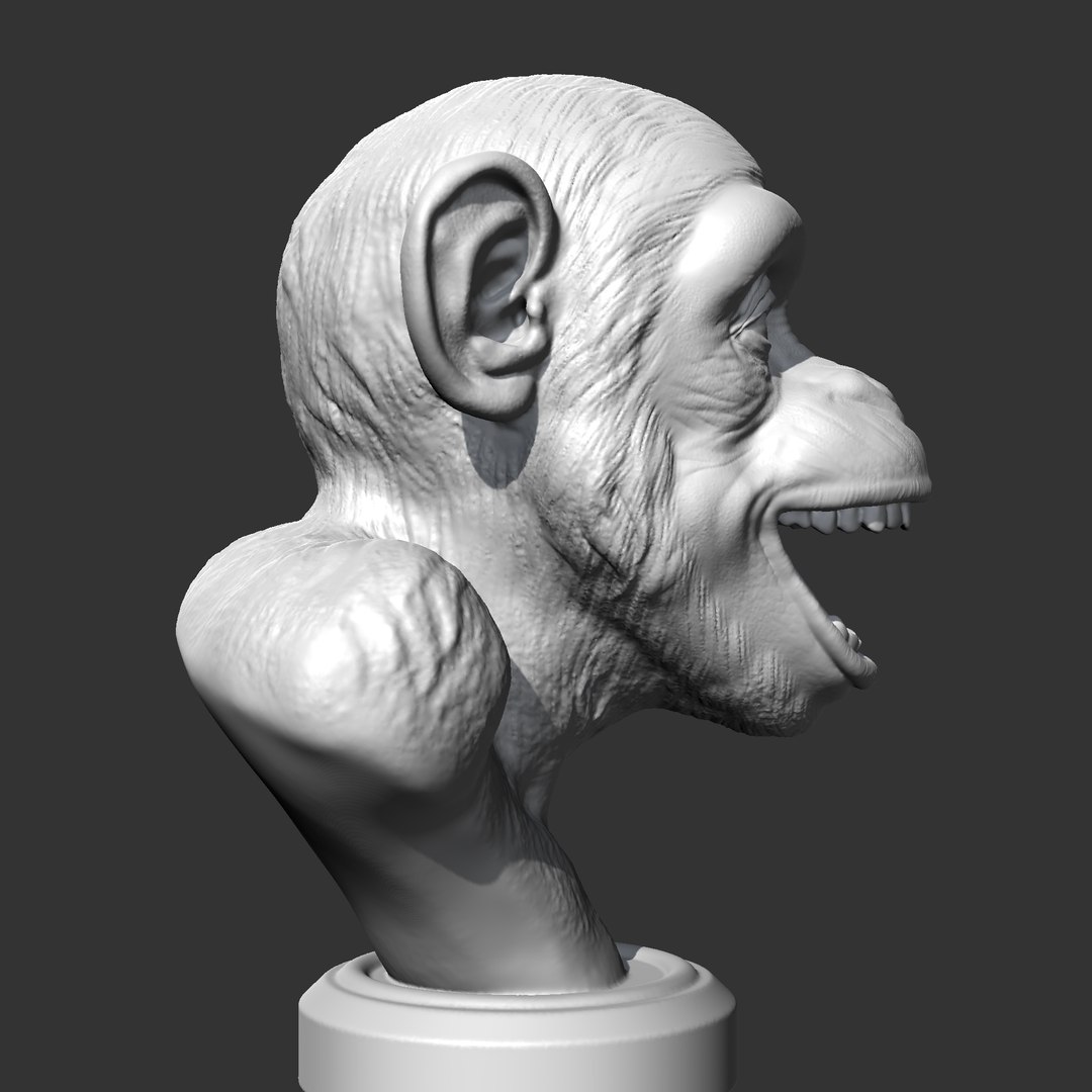 3D model Chimp Head AM24 3D print model - TurboSquid 2106801