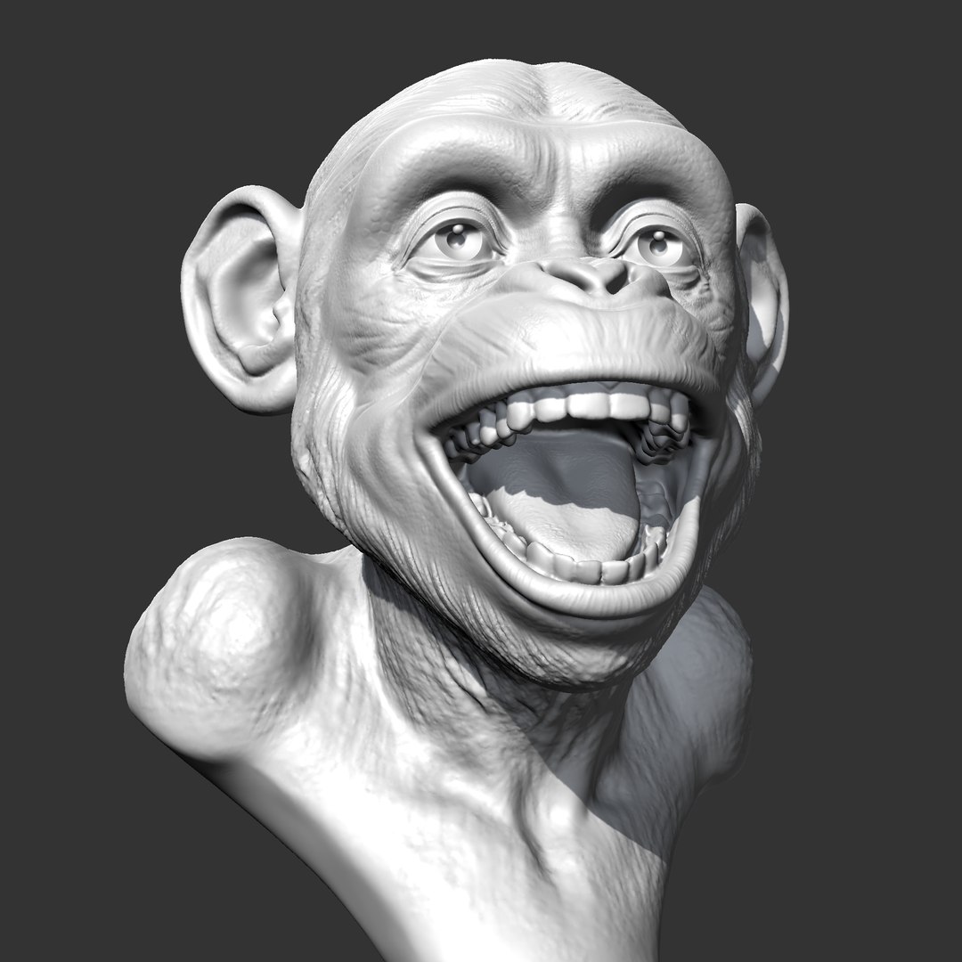 3D model Chimp Head AM24 3D print model - TurboSquid 2106801