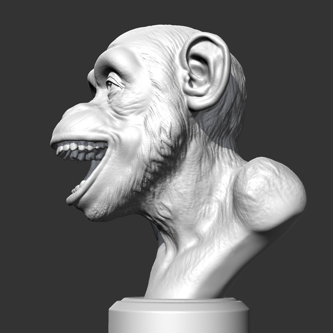 3D model Chimp Head AM24 3D print model - TurboSquid 2106801