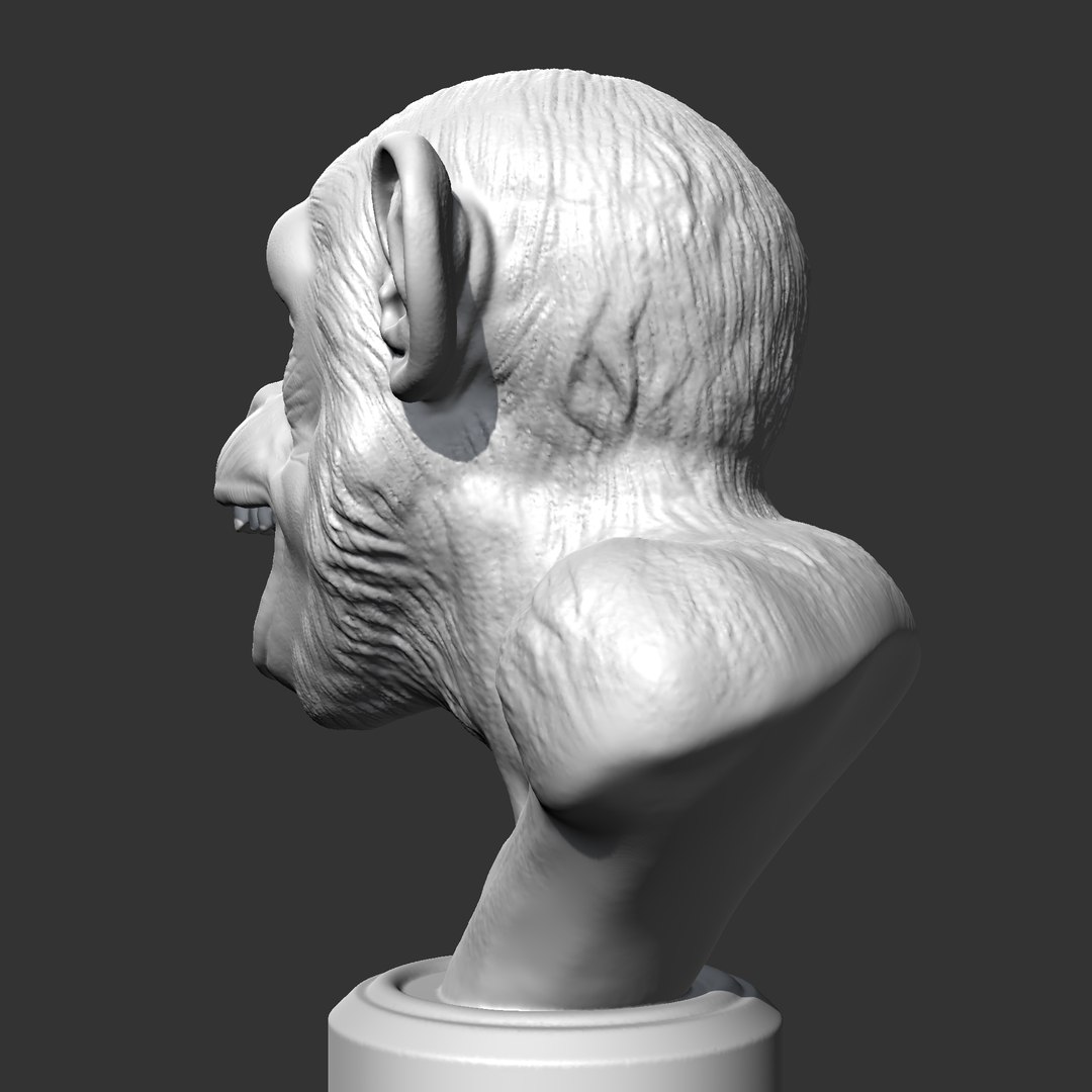 3D model Chimp Head AM24 3D print model - TurboSquid 2106801