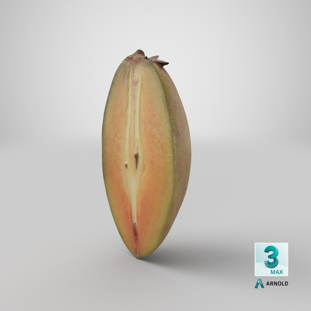 Half Sapodilla 3D Model - TurboSquid 1959833