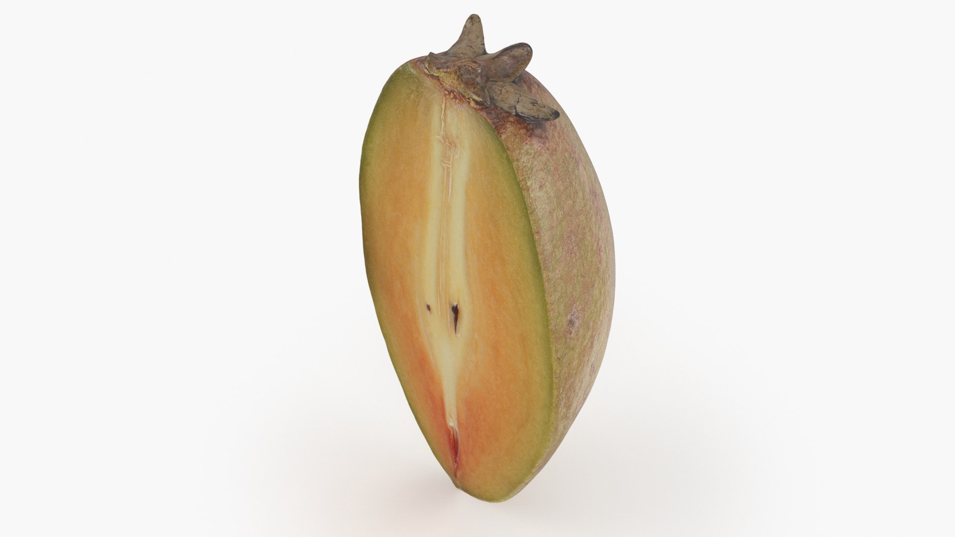 Half Sapodilla 3D Model - TurboSquid 1959833