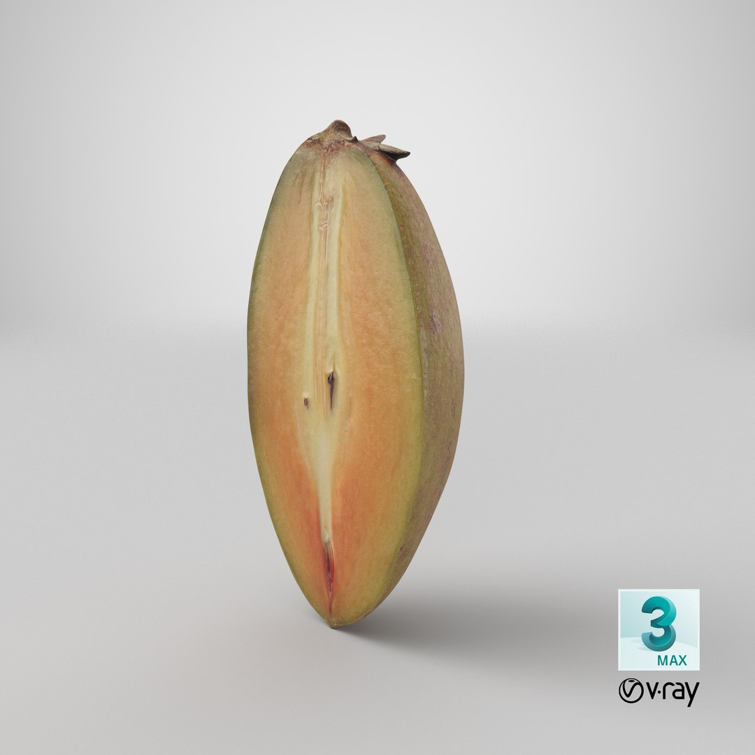 Half Sapodilla 3D Model - TurboSquid 1959833