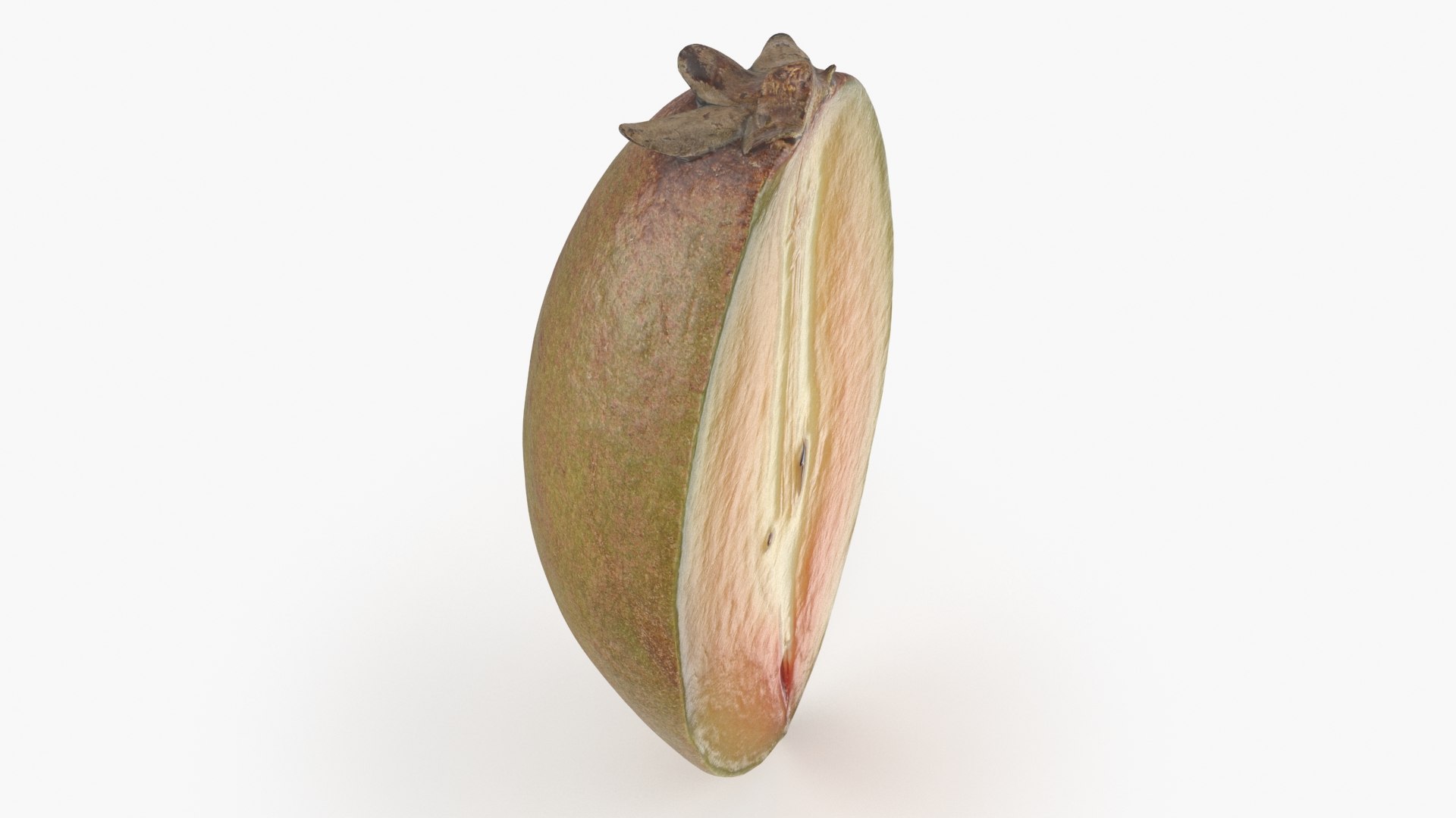 Half Sapodilla 3D Model - TurboSquid 1959833