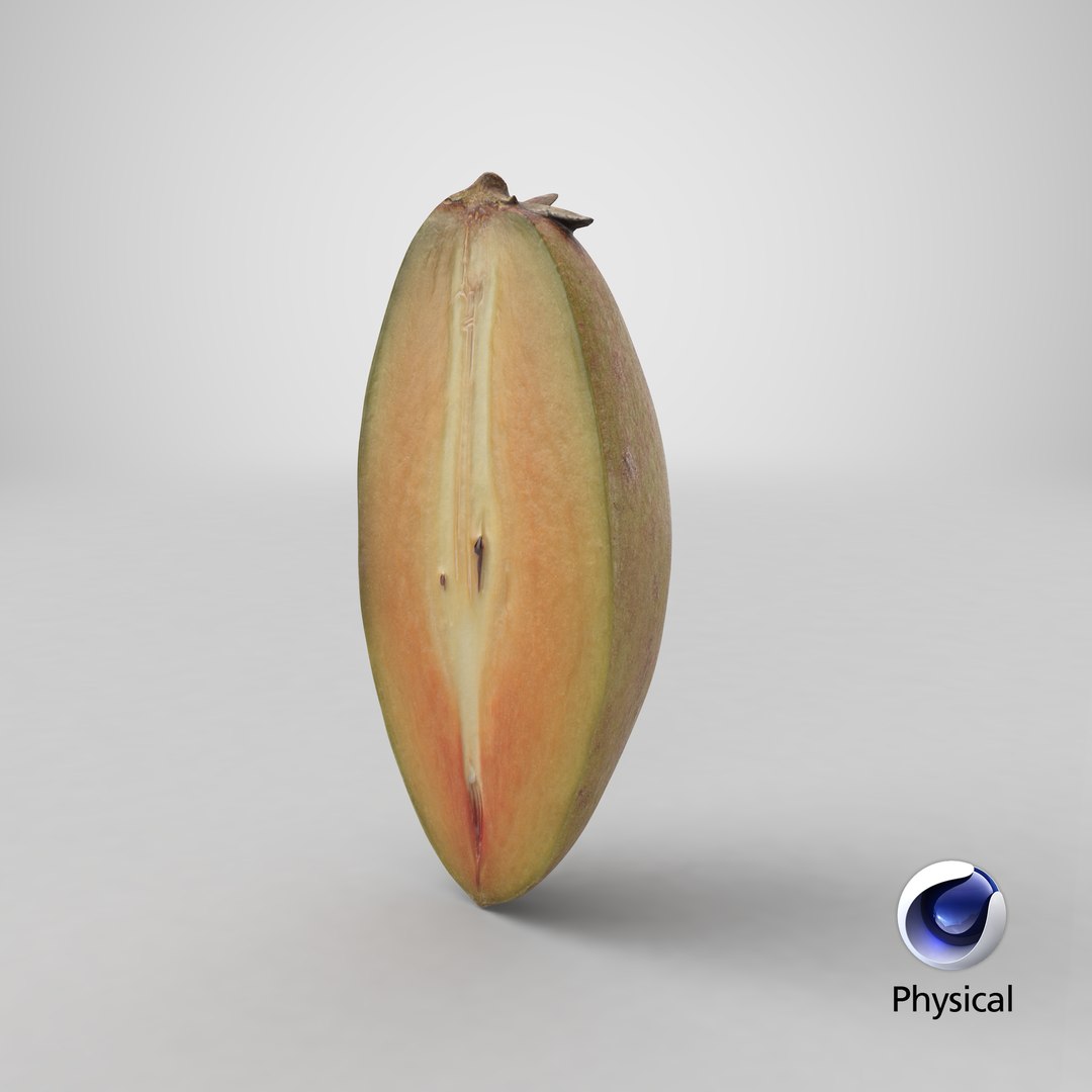 Half Sapodilla 3D Model - TurboSquid 1959833