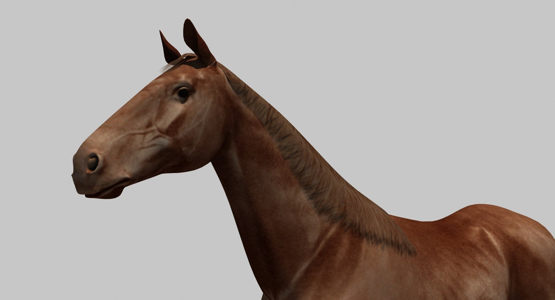 3dsmax Horse Mesh