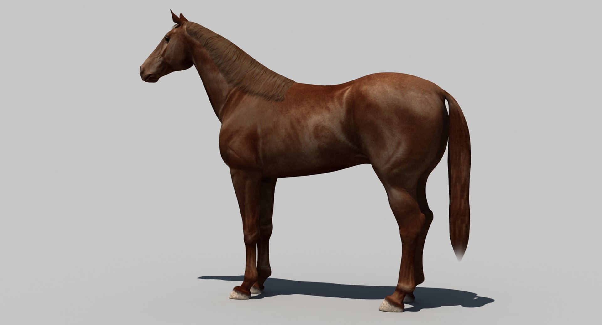 3dsmax Horse Mesh