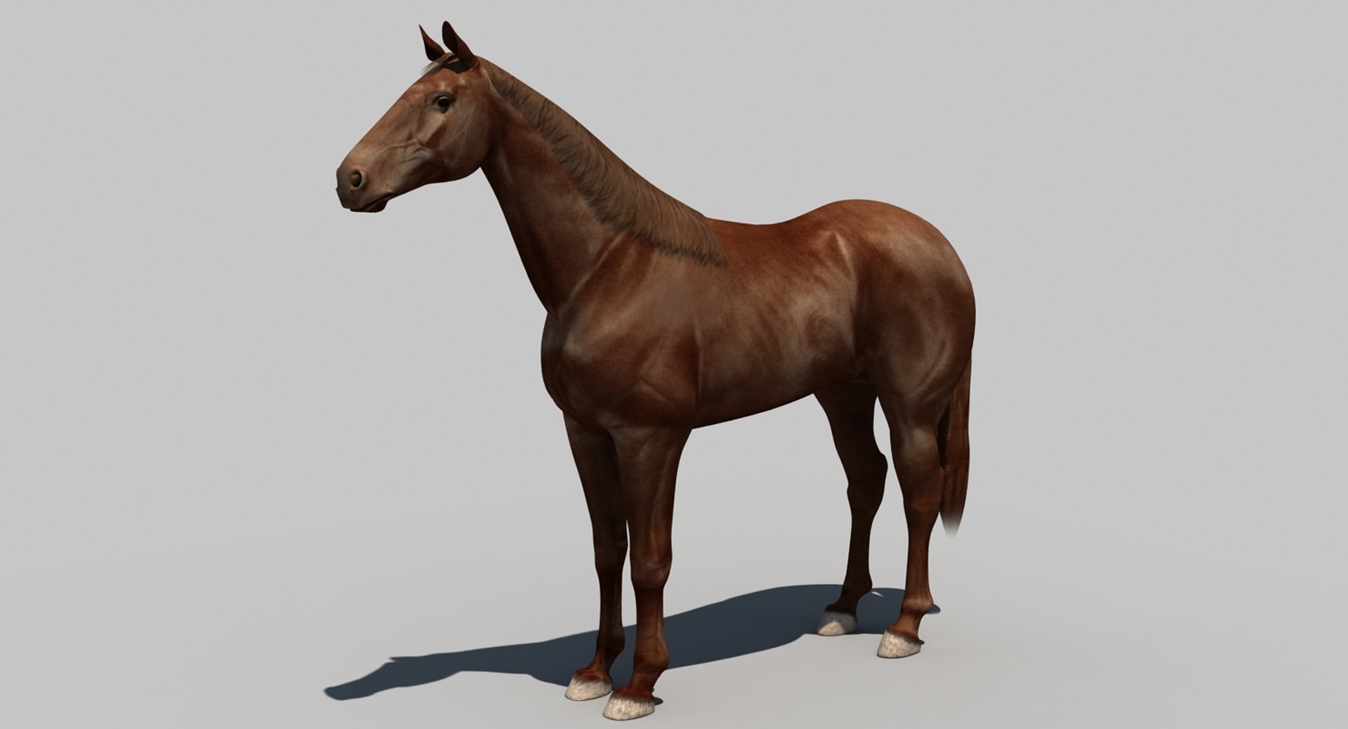 3dsmax Horse Mesh