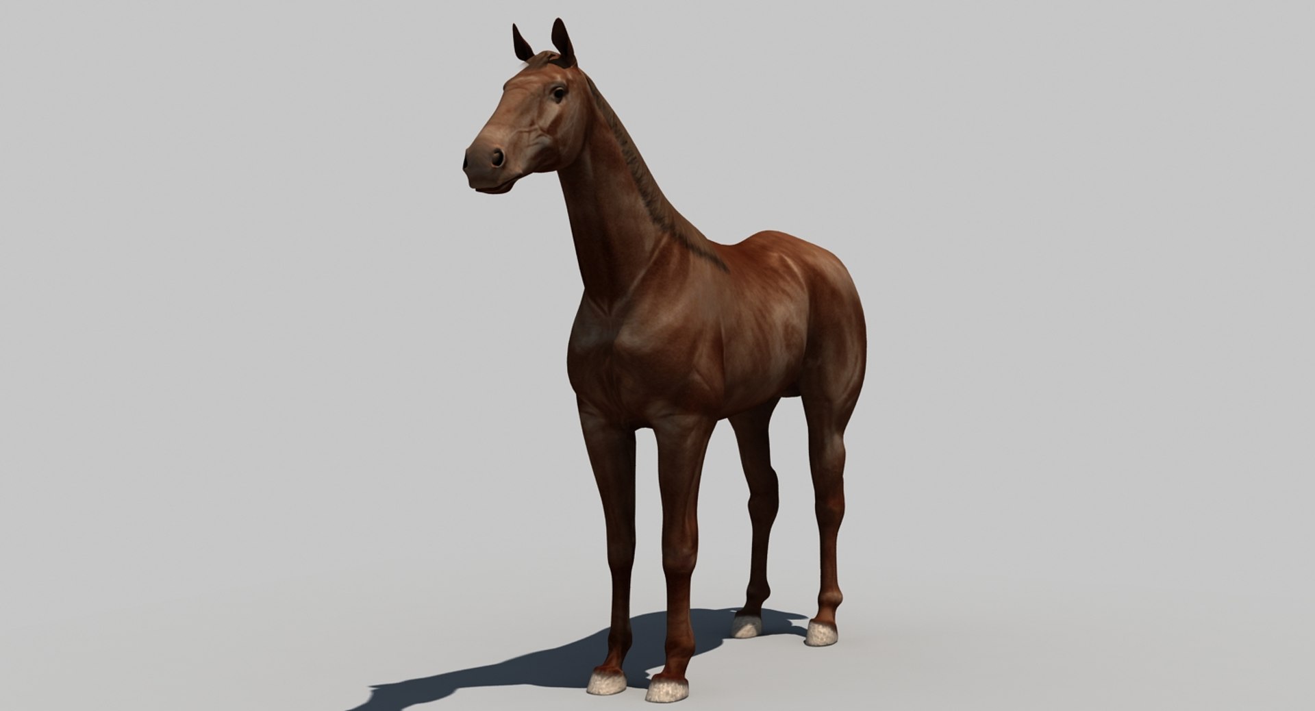 3dsmax Horse Mesh