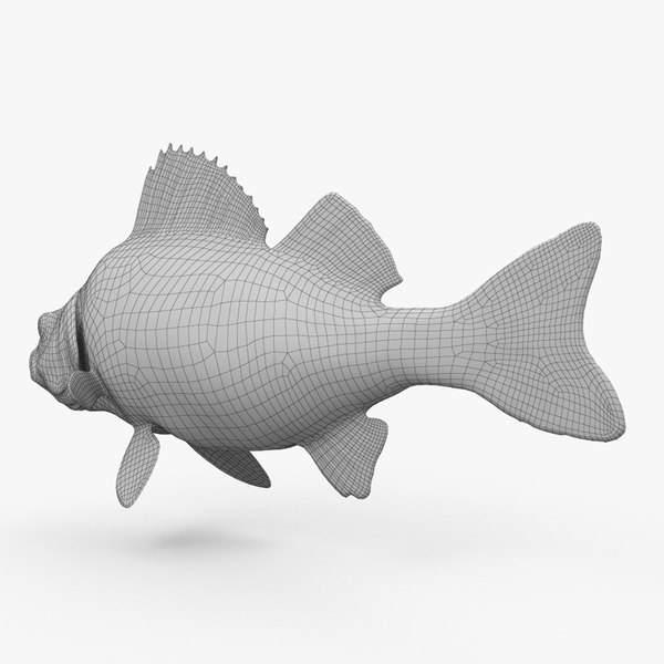 Perch HD 3D model - TurboSquid 1753478