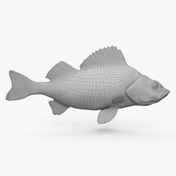 Perch HD 3D model - TurboSquid 1753478