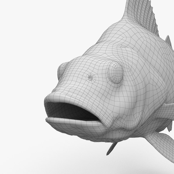 Perch HD 3D model - TurboSquid 1753478