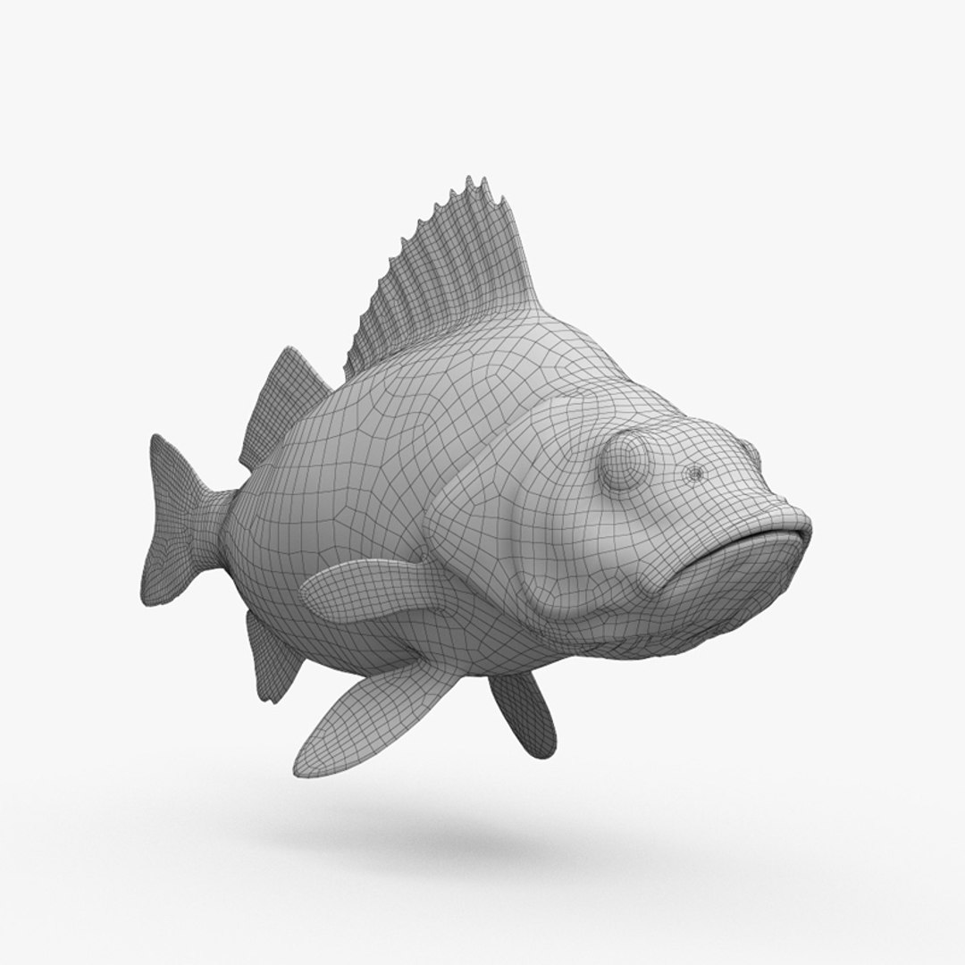 Perch HD 3D model - TurboSquid 1753478