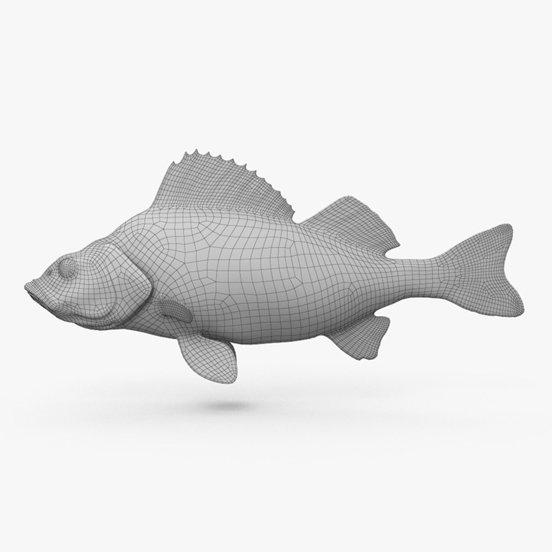 Perch HD 3D model - TurboSquid 1753478