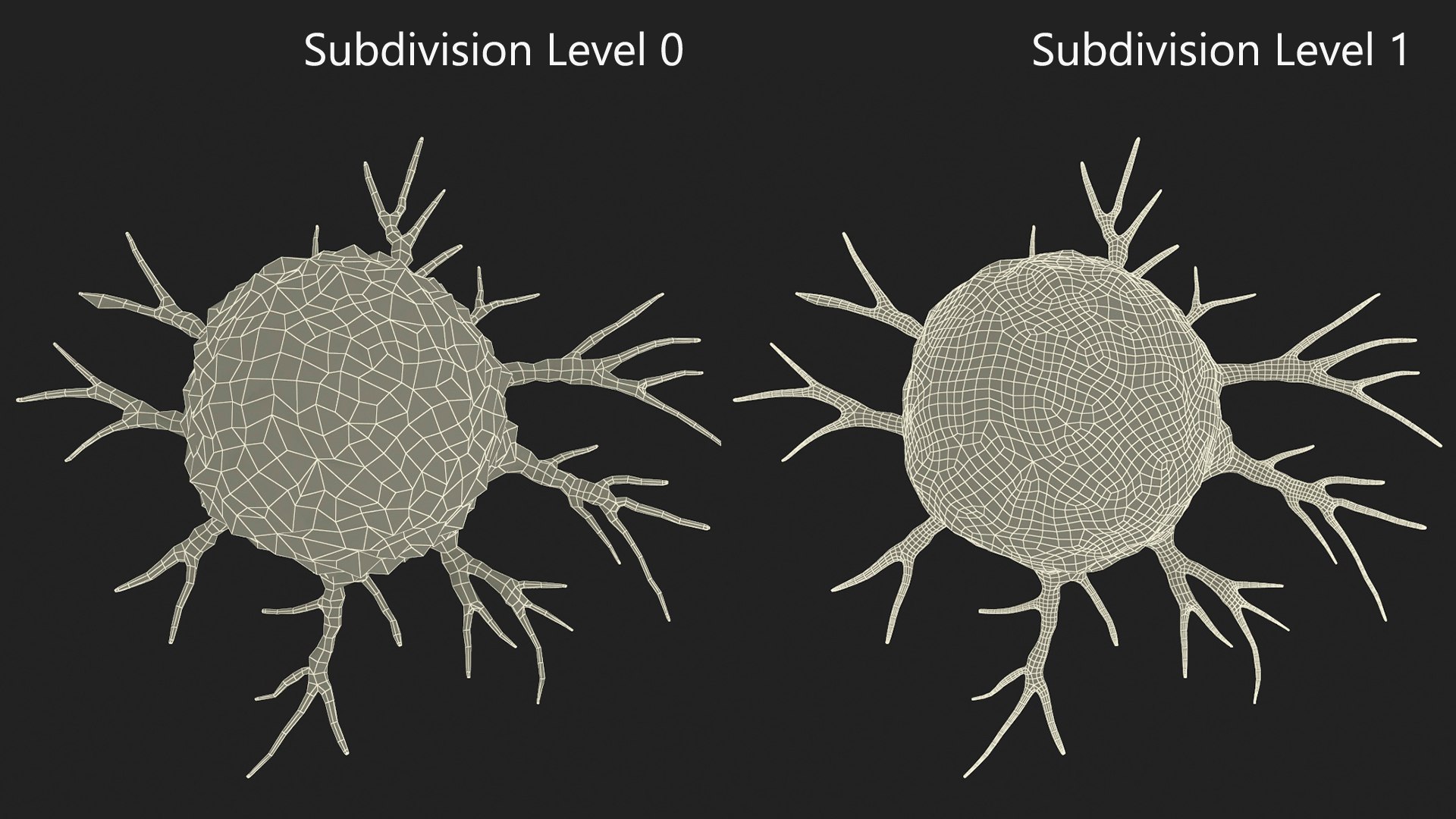 3D Cancer Cell - TurboSquid 2202479