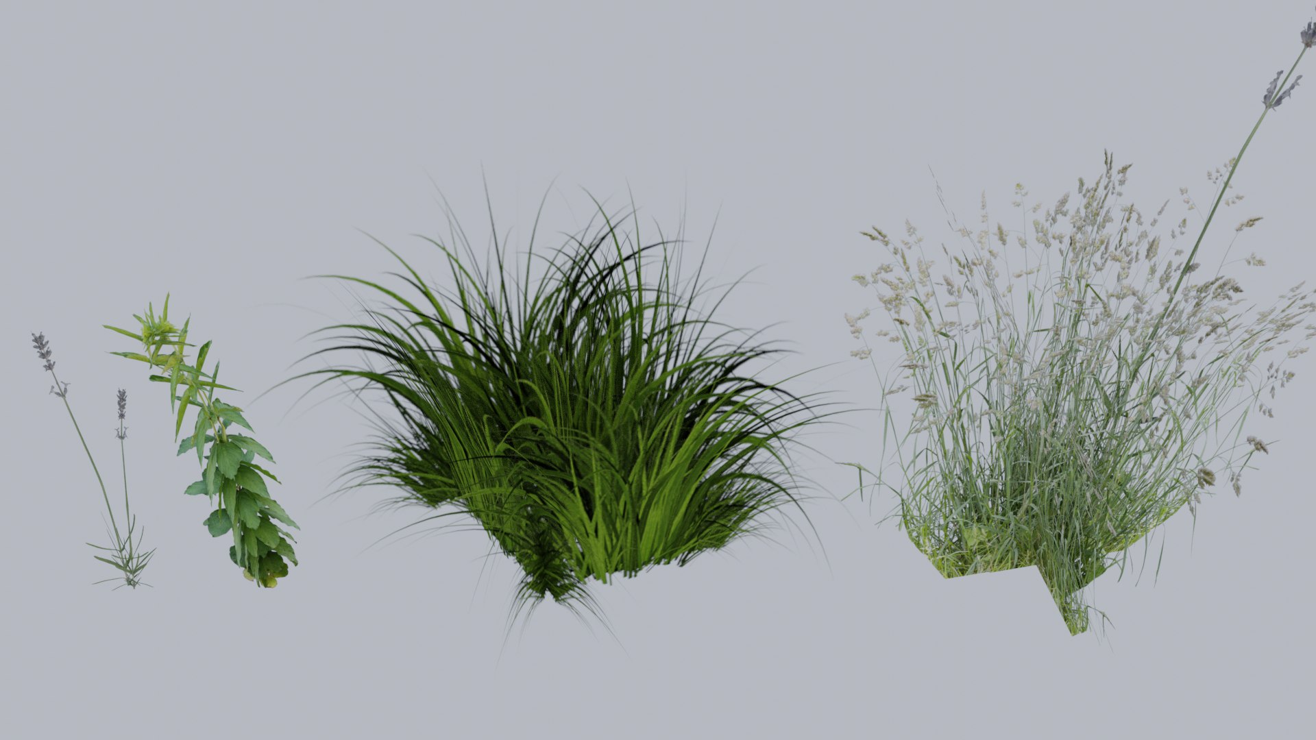 Low-poly Grass Pack 3D Model - TurboSquid 1414699