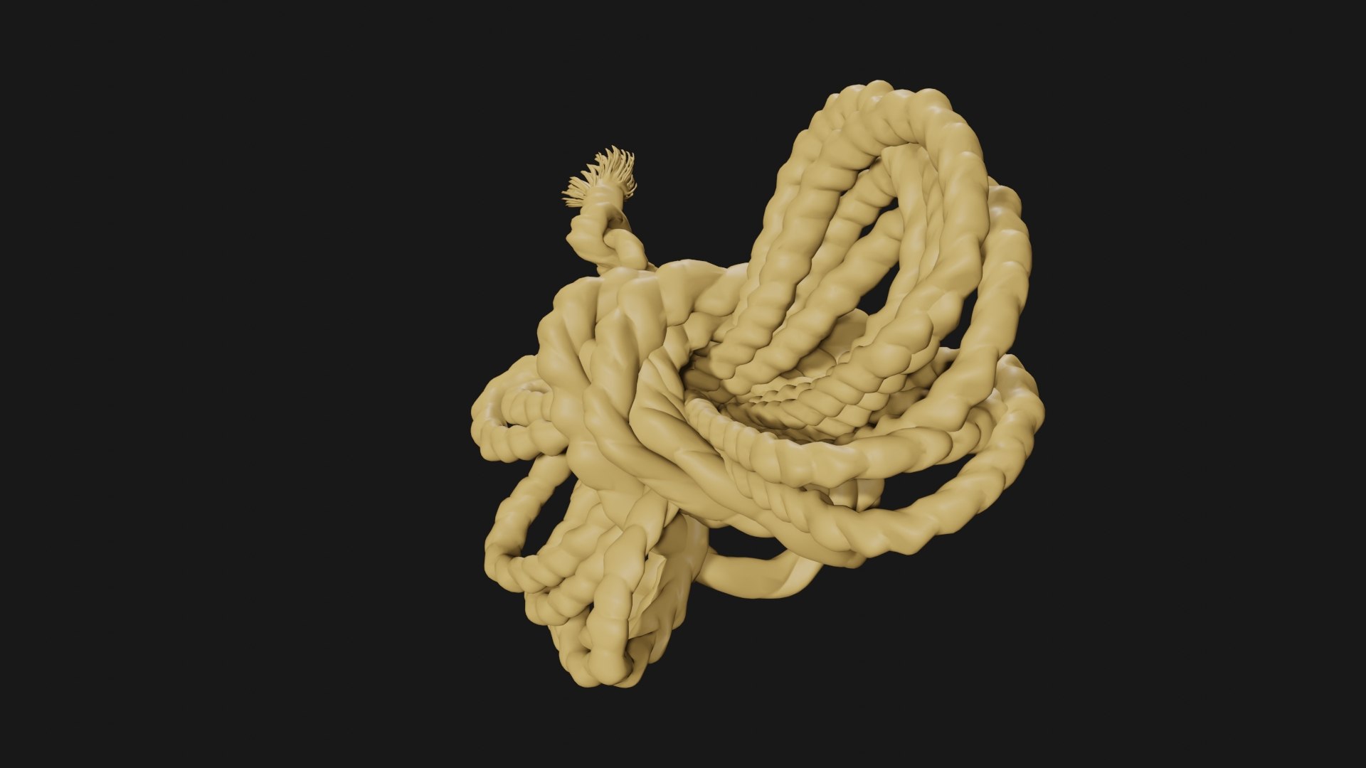 3D Rope Coil model - TurboSquid 1826424