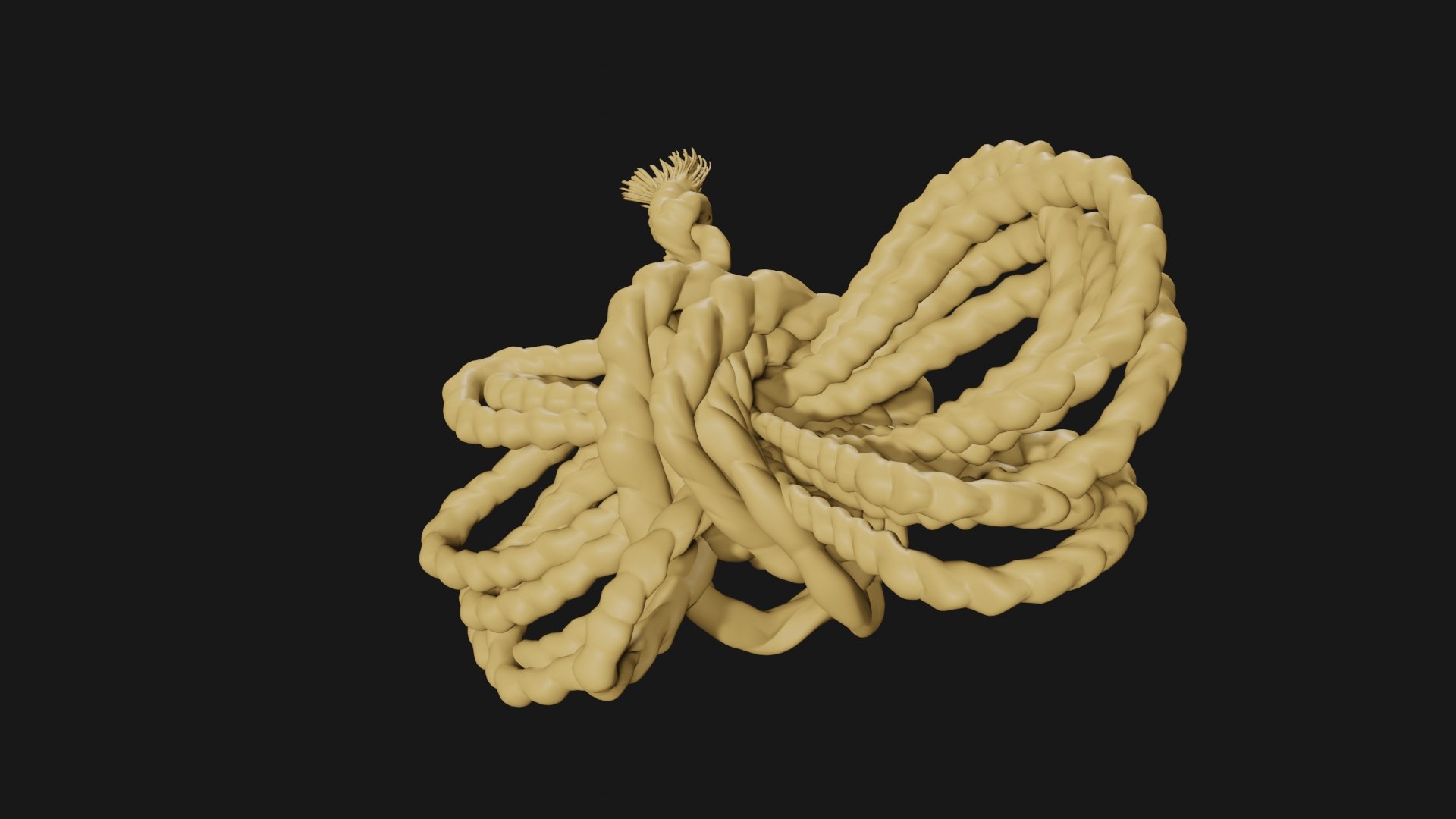 3D Rope Coil model - TurboSquid 1826424
