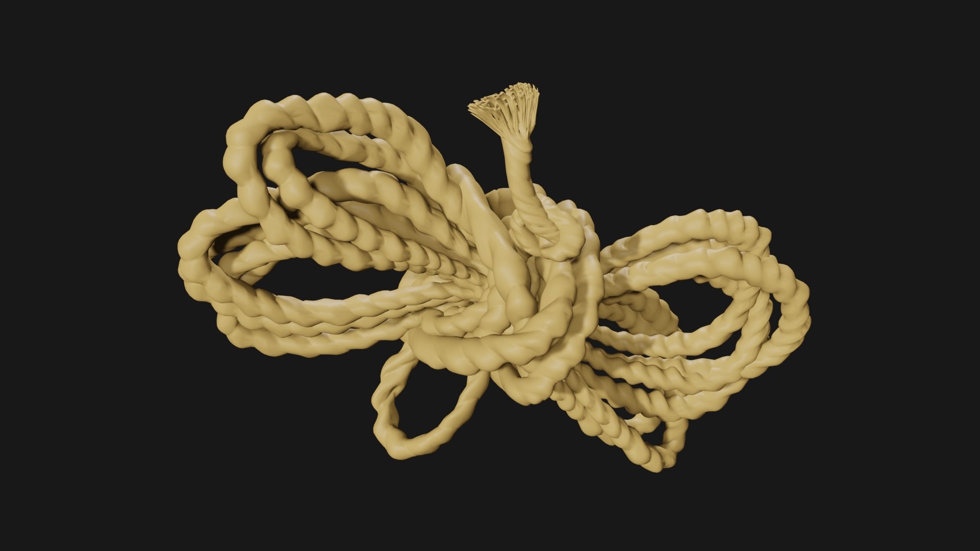 3D Rope Coil model - TurboSquid 1826424