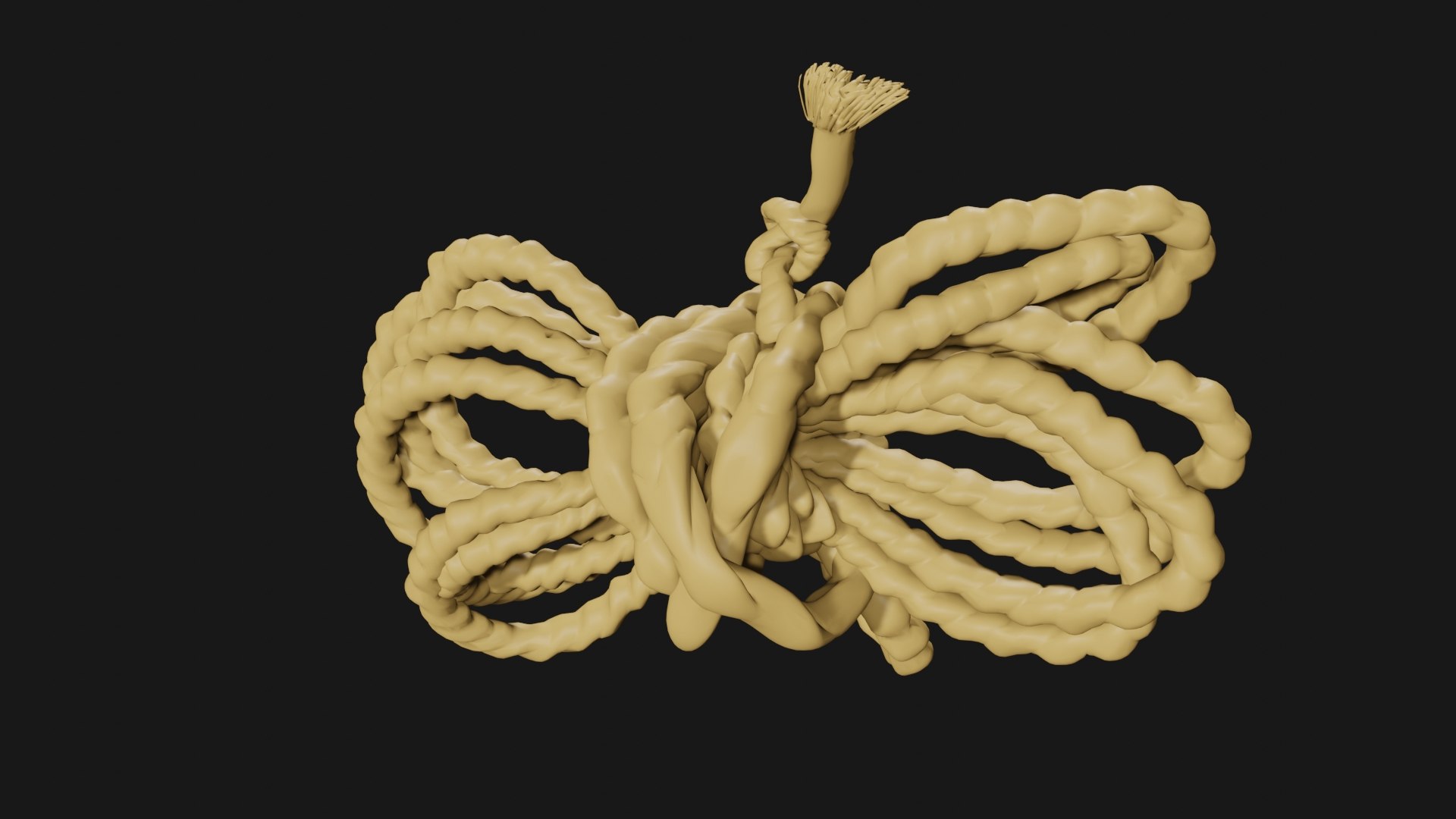 3D Rope Coil model - TurboSquid 1826424