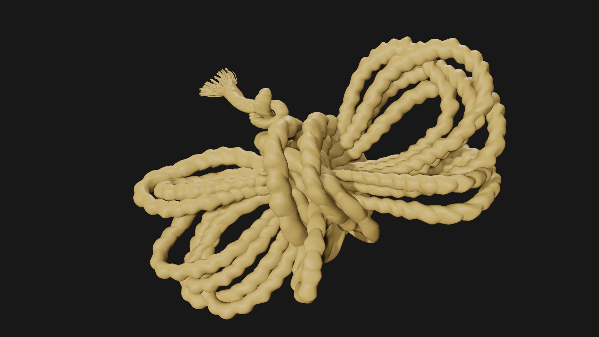 3D Rope Coil model - TurboSquid 1826424