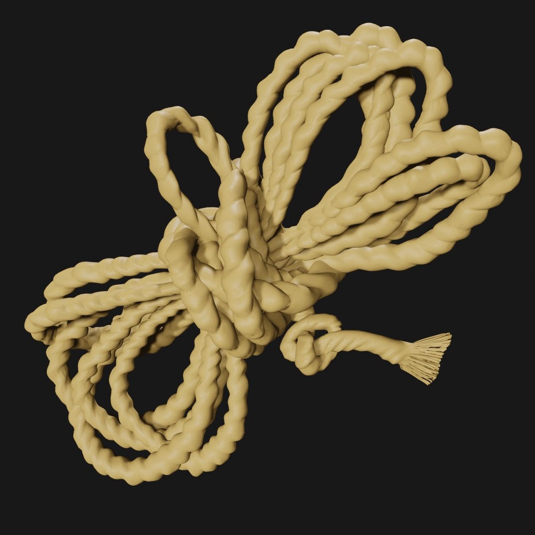 3D Rope Coil model - TurboSquid 1826424