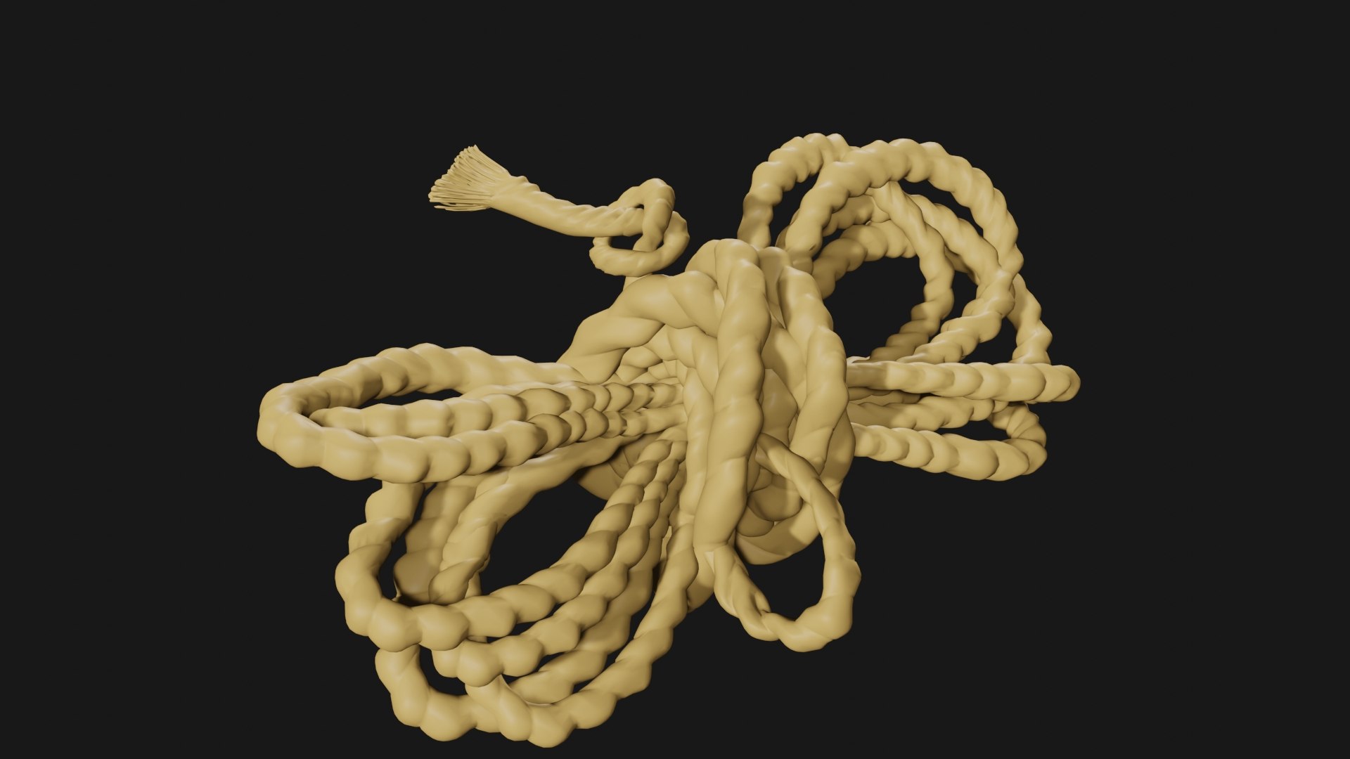 3D Rope Coil model - TurboSquid 1826424