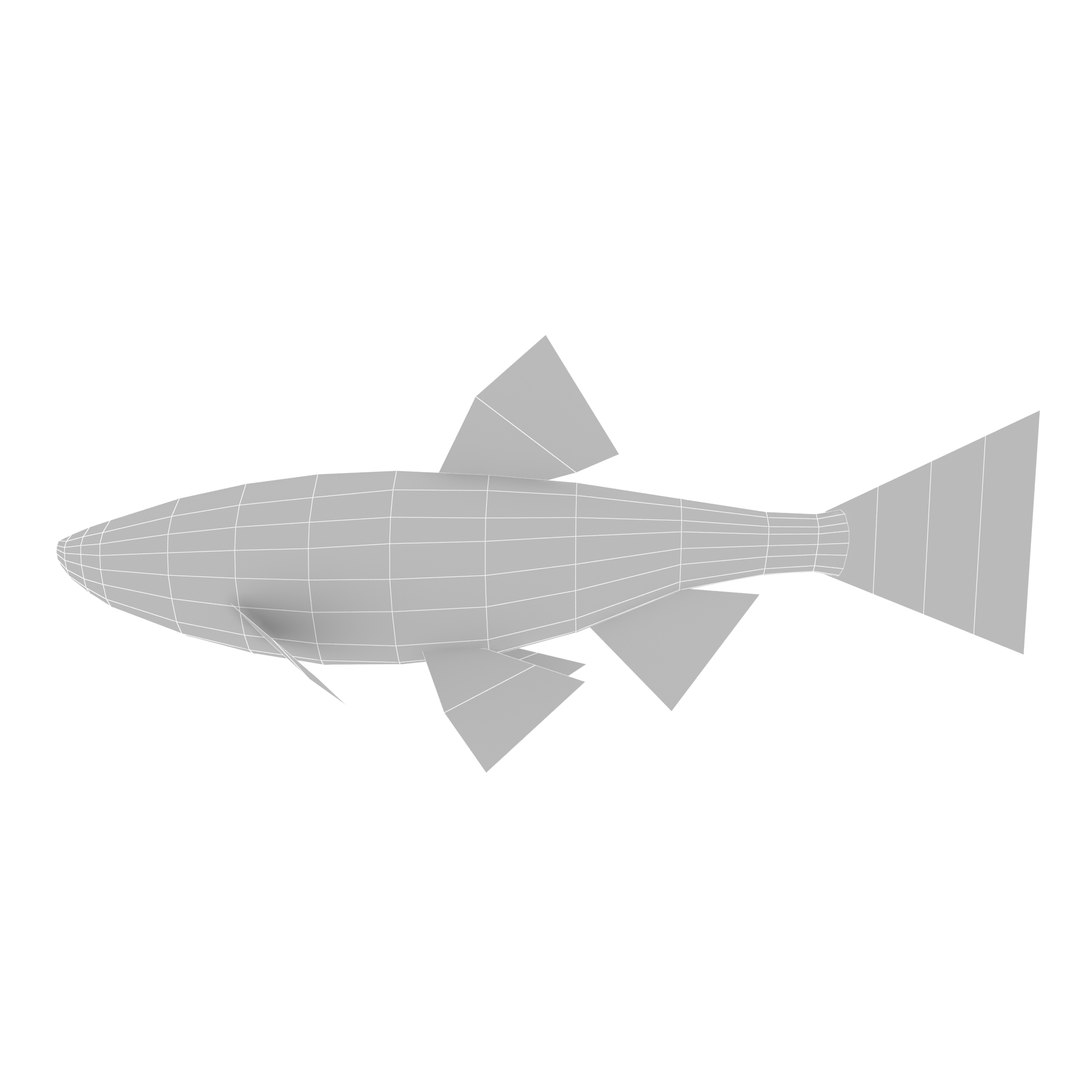 3d model fish