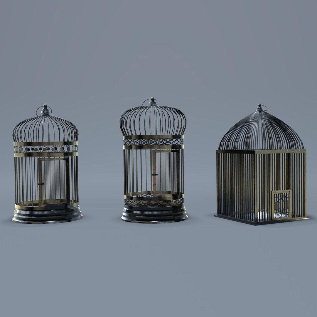 Bird Cage 3D Model - TurboSquid 1699321