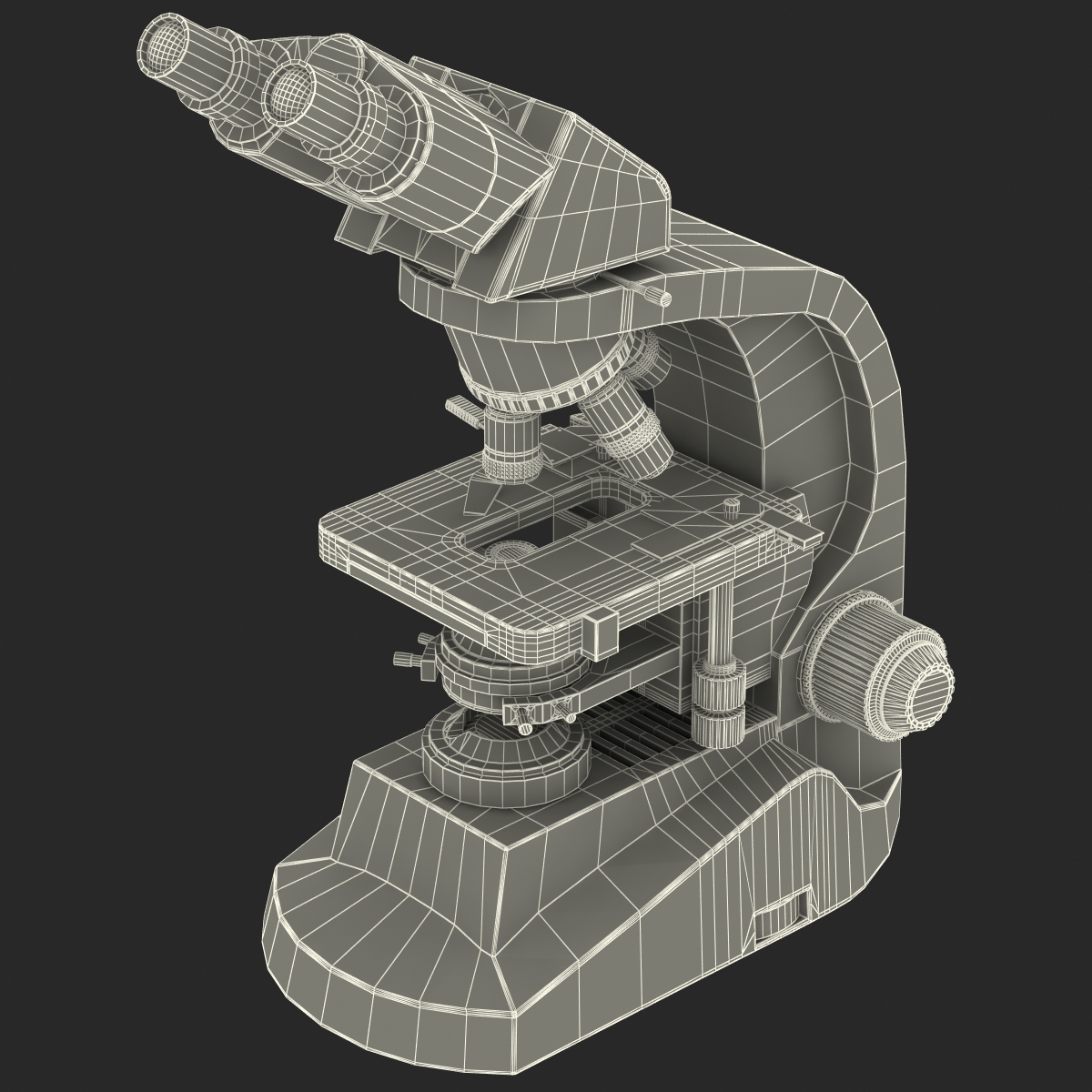 3d microscope micro